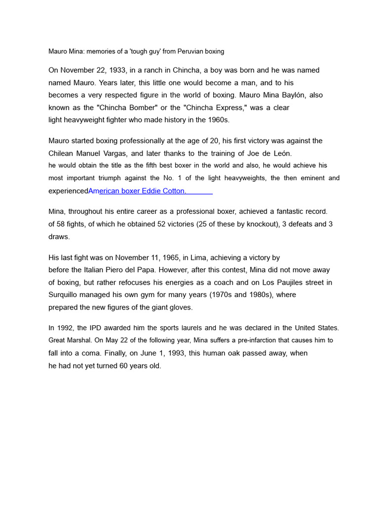 Biography of The Boxer Mauro Mina | PDF