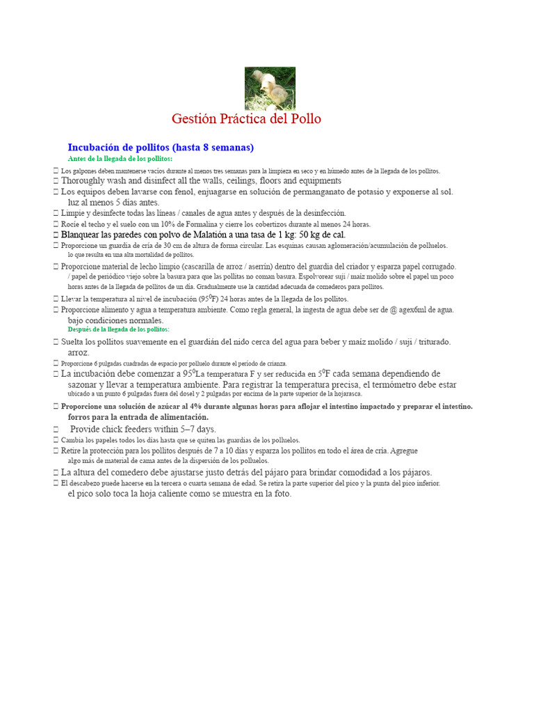 Guía de Manejo de Aves de Corral | PDF | Aves | Agua