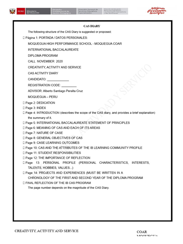 CAS Diary Structure for IB Students | PDF