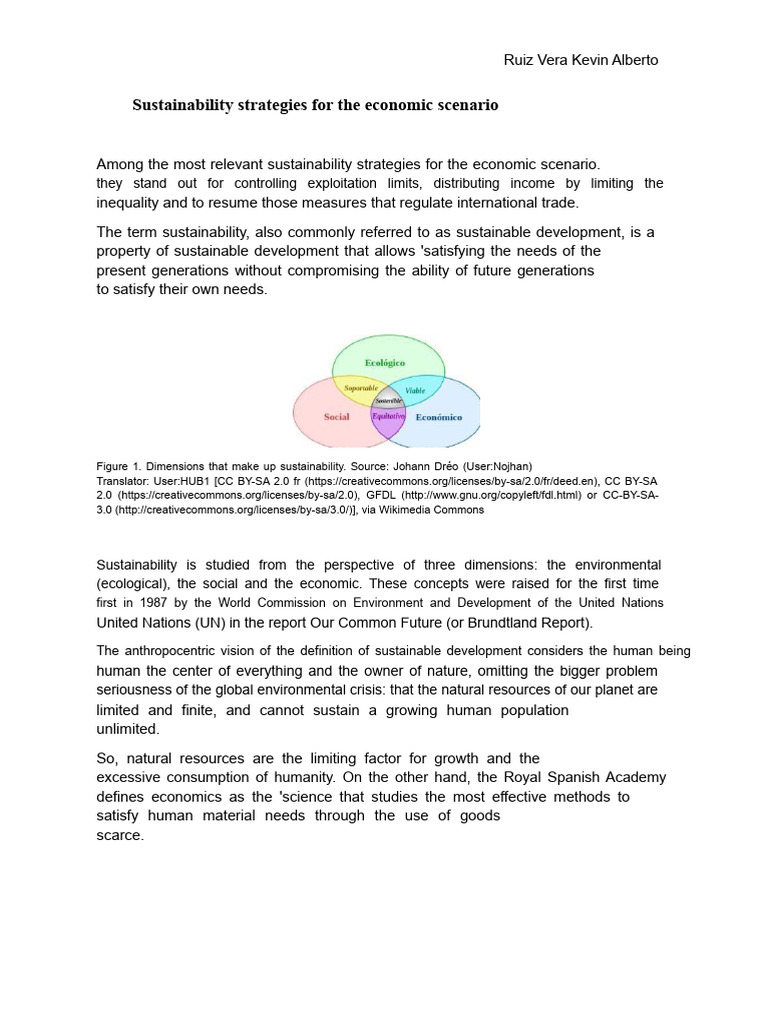 Sustainability Strategies For The Economic Scenario | PDF ...
