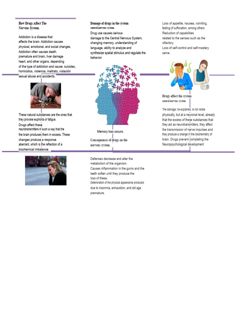 Impact of Drugs on the Nervous System | PDF | Drugs | Nervous System