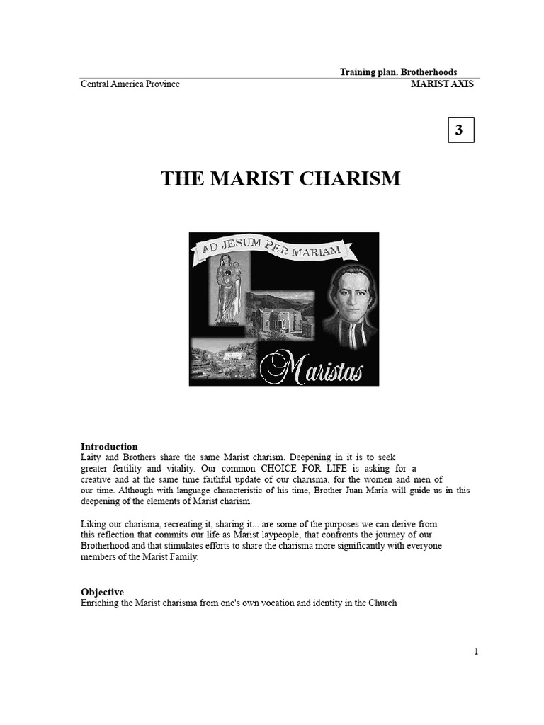 Marist Charism Training Plan Overview | PDF | Jesus | Charisma