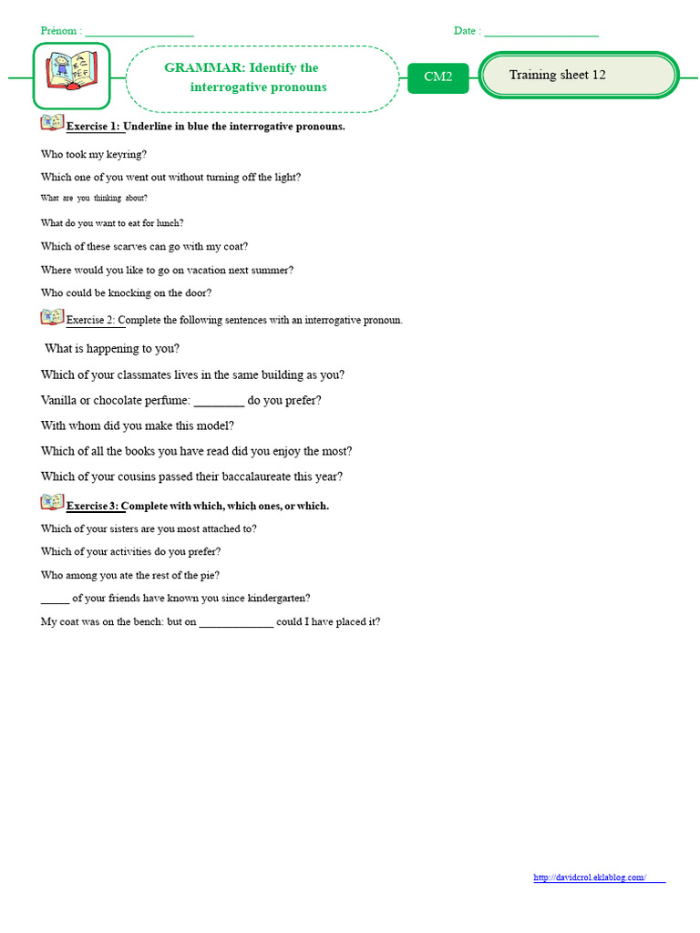 Interrogative Pronouns Exercises for CM2 | PDF | Semantic Units ...