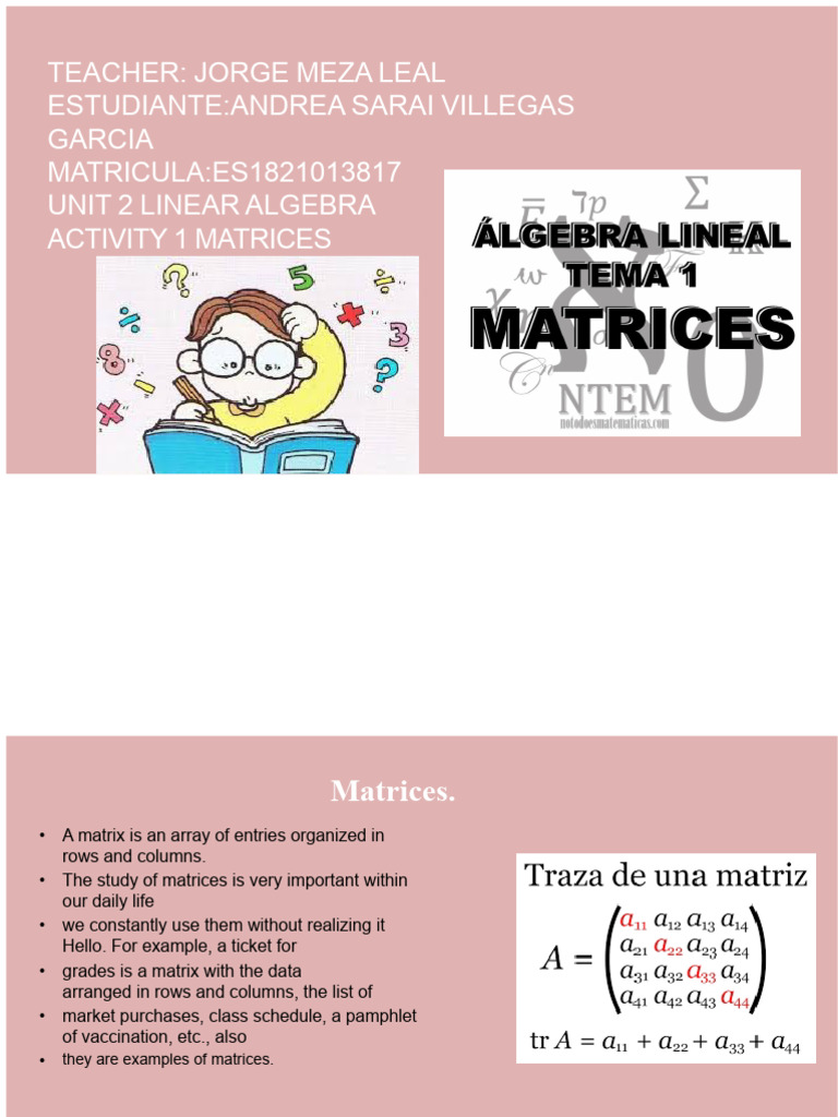The matrices | PDF | Matrix (Mathematics) | Determinant
