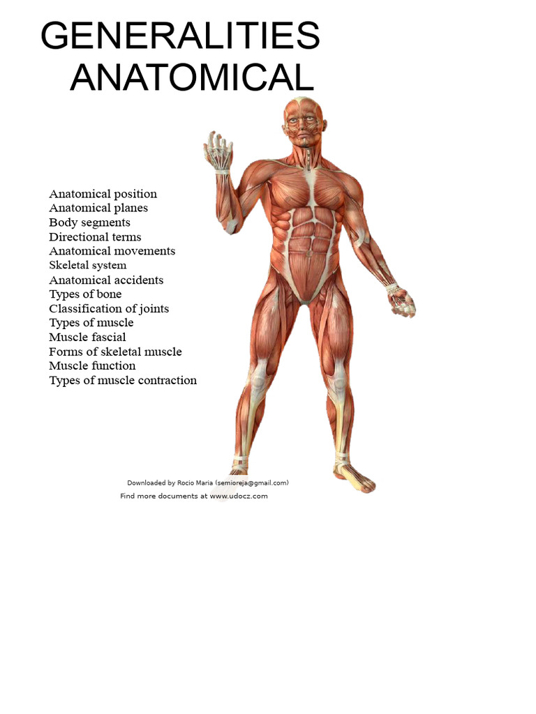 General Anatomical Aspects | PDF | Anatomical Terms Of Motion | Primate ...