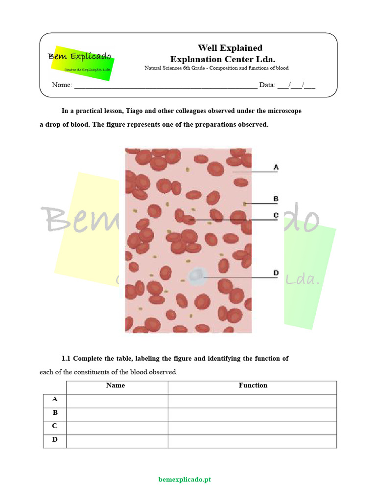 A.4.1 - Constitution and Functions of Blood - Work Sheet (1) | PDF