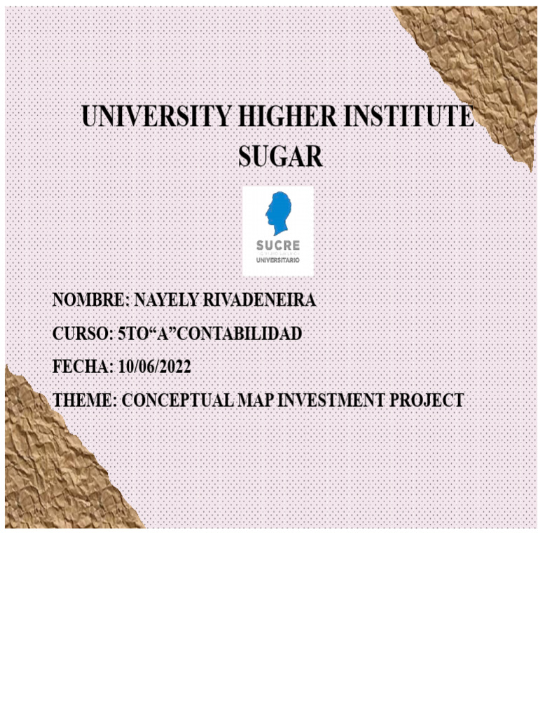 Conceptual Map Investment Project | PDF | Cost–Benefit Analysis | Investing