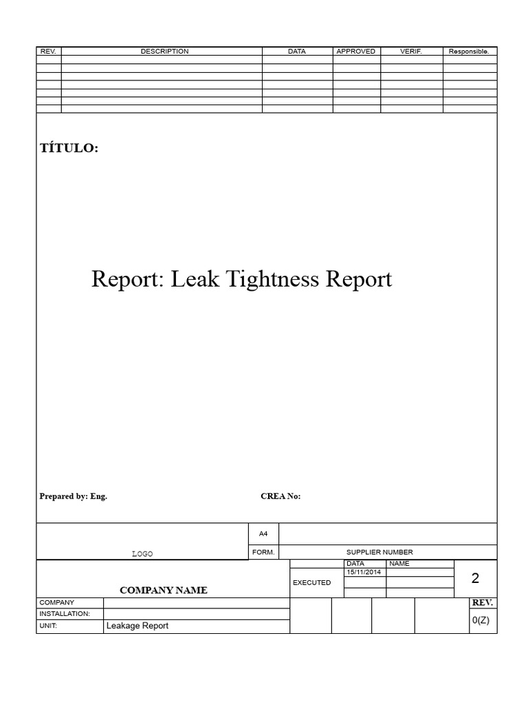 MODEL Report-Test-Leakage | PDF