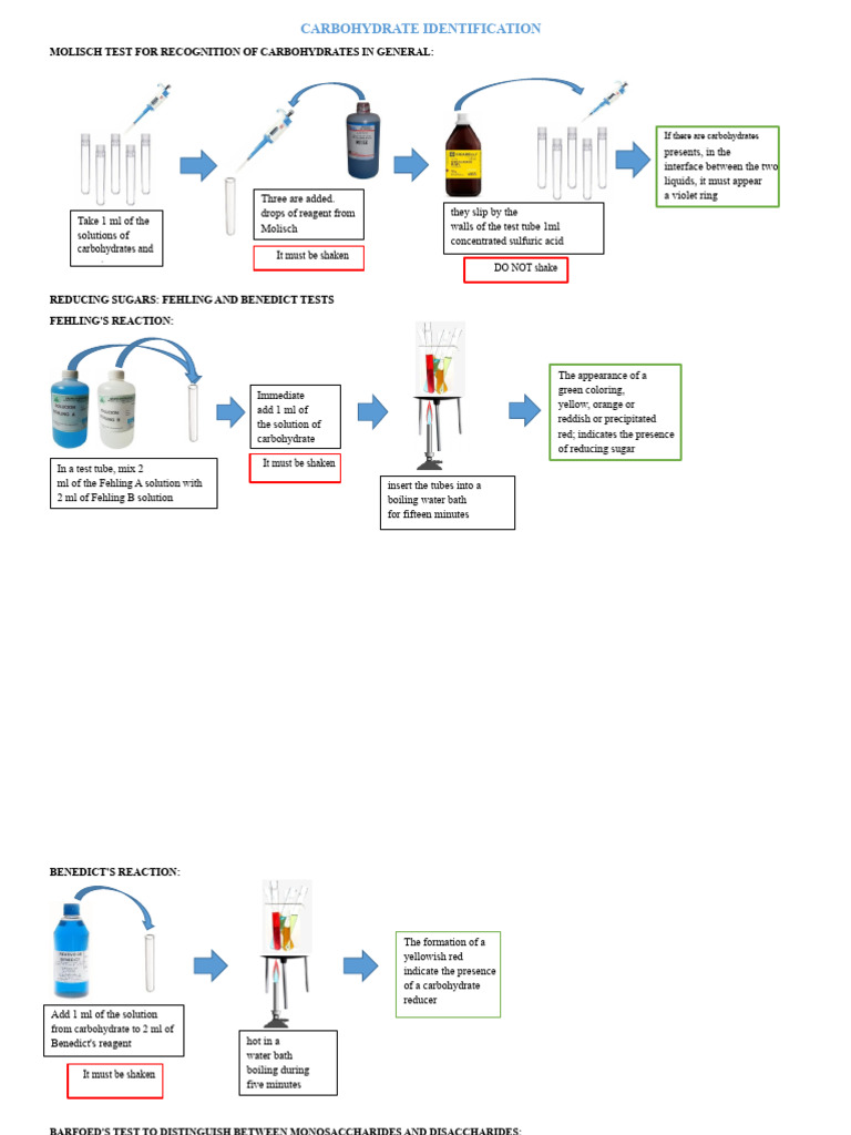 Carbohydrate Identification Tests Guide | PDF | Carbohydrates | Organic ...