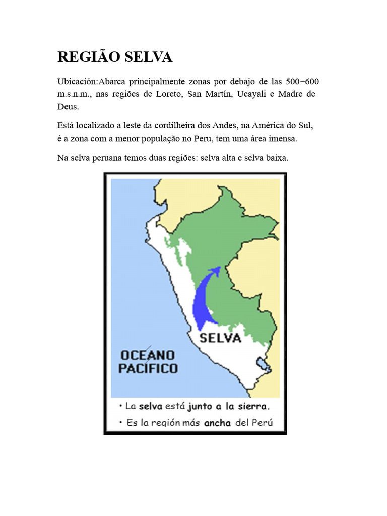 Paper da Região Selva | PDF | Peru