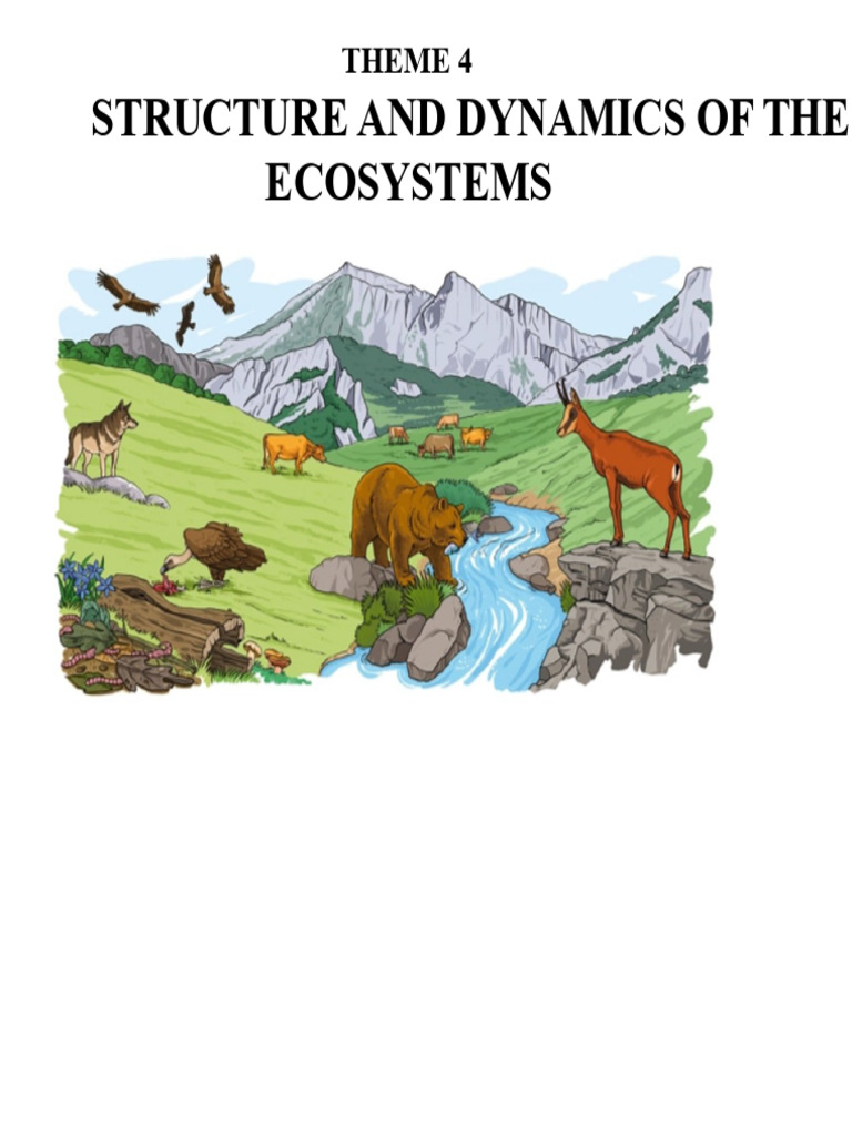 4. Structure and dynamics of ecosystems | PDF | Ecosystem | Food Web