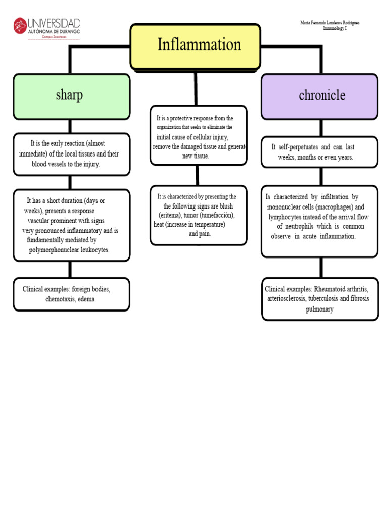 Acute and Chronic Inflammation | PDF