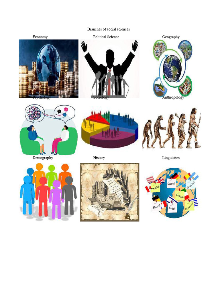 Overview of Social Science Branches | PDF | Social Sciences | Geography