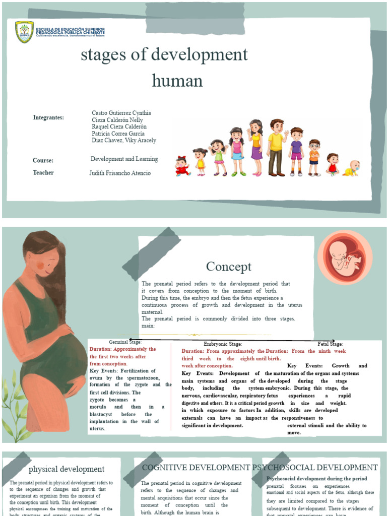 Prenatal stage-childhood according to Papalia's book | PDF | Prenatal ...
