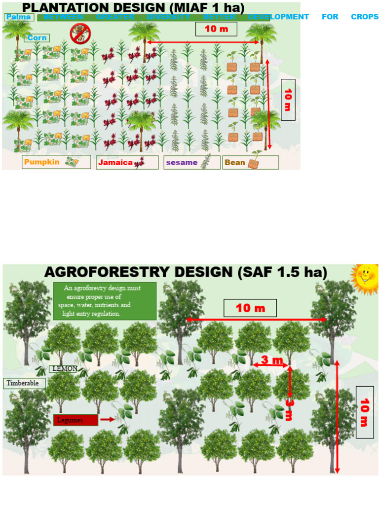 Agroforestry and Plantation Design Guide | PDF