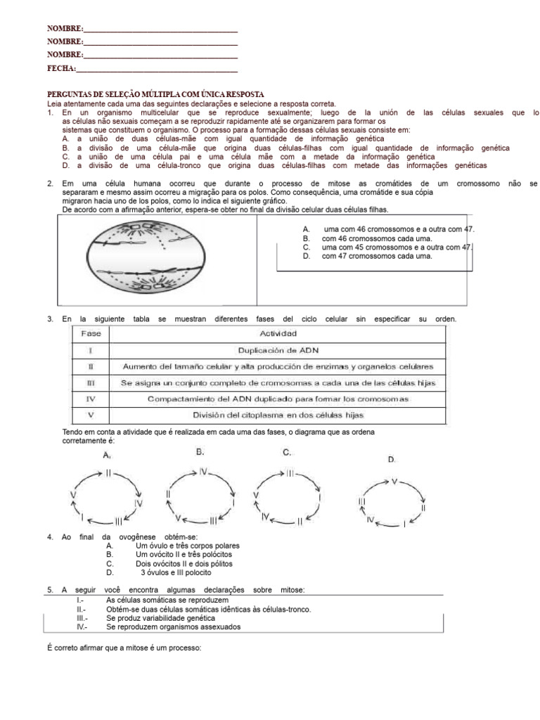 Avaliação 8º ano | PDF | Meiose | Mitose