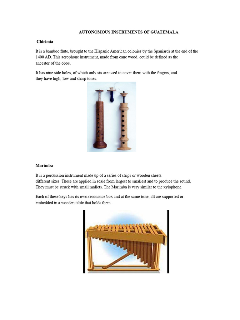 Autonomous Instruments of Guatemala | PDF