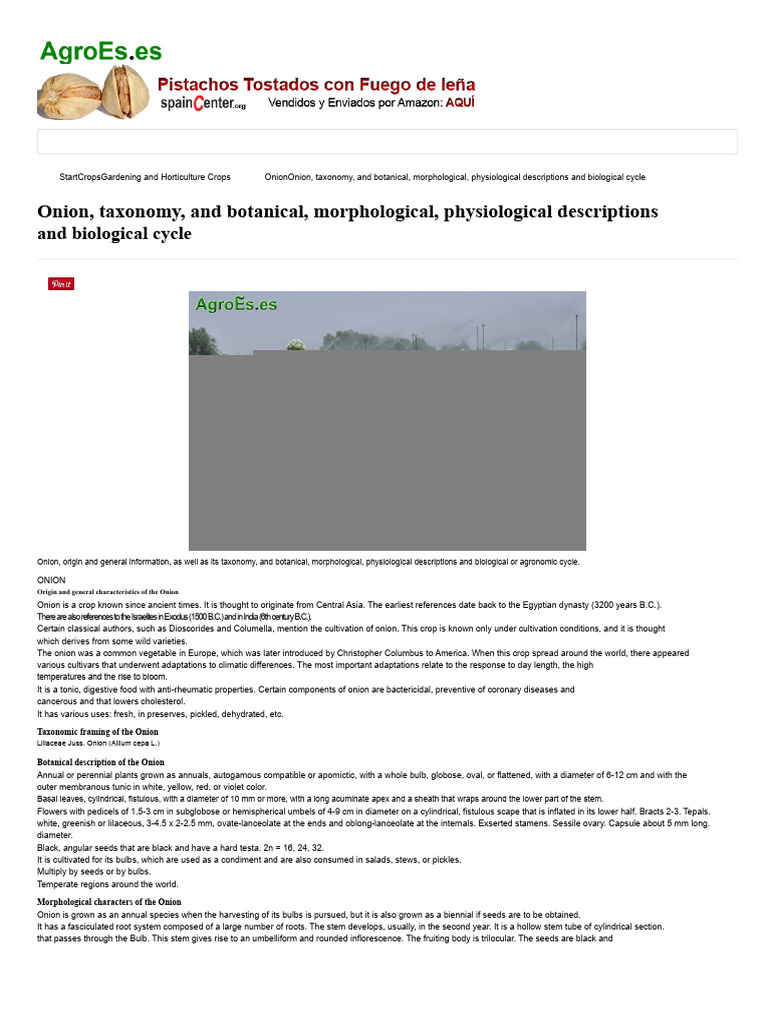Onion Cultivation: Taxonomy & Cycle | PDF | Onion | Bulb