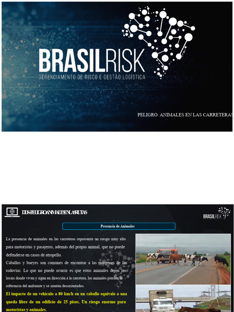 DDS - Animales en La Carretera | PDF | Accidente de tráfico | Vehículos