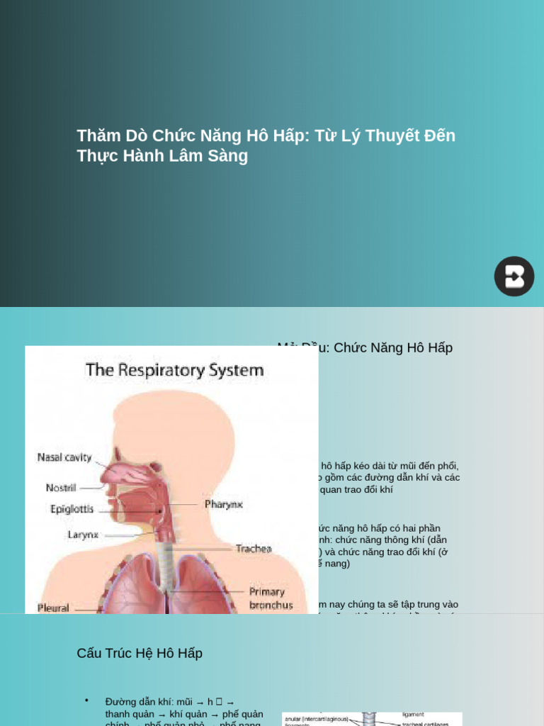Presentation File | PDF