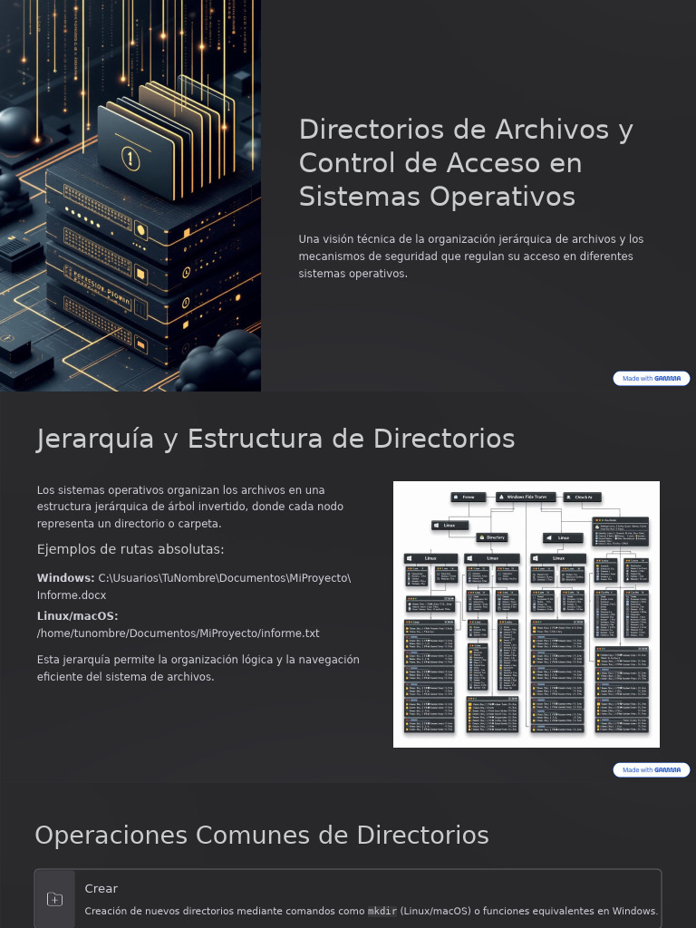 Control de Acceso y Directorios en SO | PDF | Archivo de computadora ...
