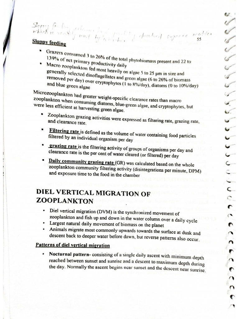 Diel Vertical Migration | PDF