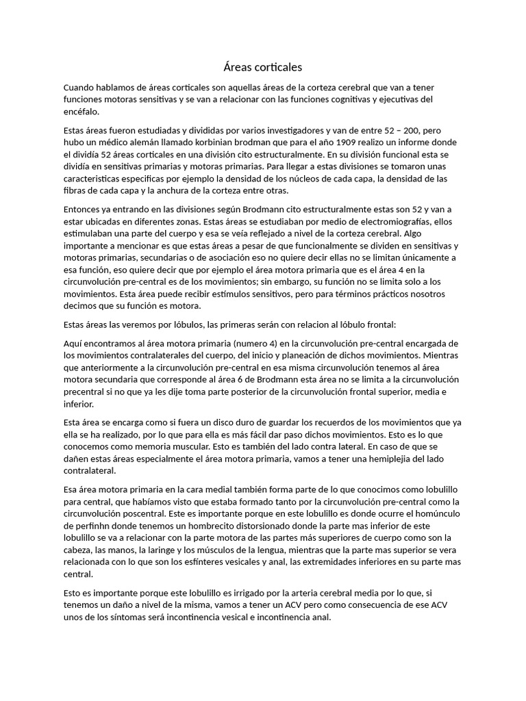 Áreas Corticales | PDF | Corteza cerebral | Lóbulo frontal