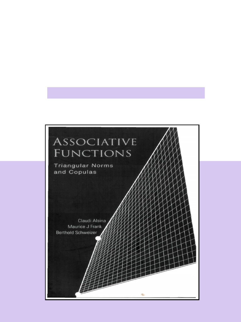 Associative Functions Triangular Norms and Copulas Wei Zhi updated 2025 ...