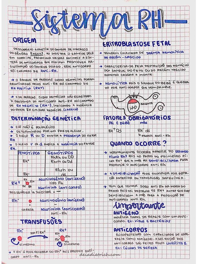Sistema RH | PDF