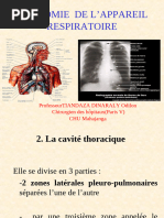 Anatomie et Segmentation des Poumons | PDF | Poumon | Thorax