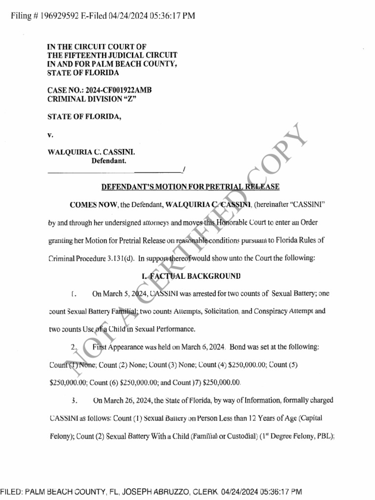 24CF1922 Defendant Motion for Pre-trial Release | PDF | Burden Of Proof ...