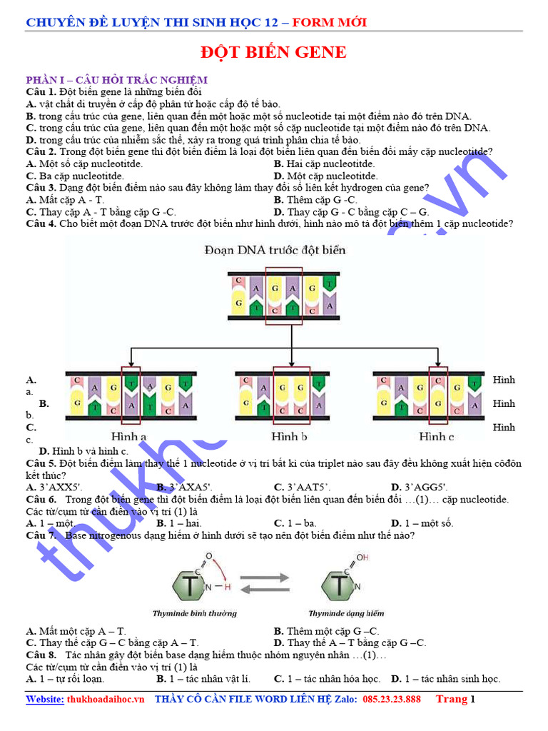 DOT BIEN GENE BAI TAP TRONG TAM | PDF