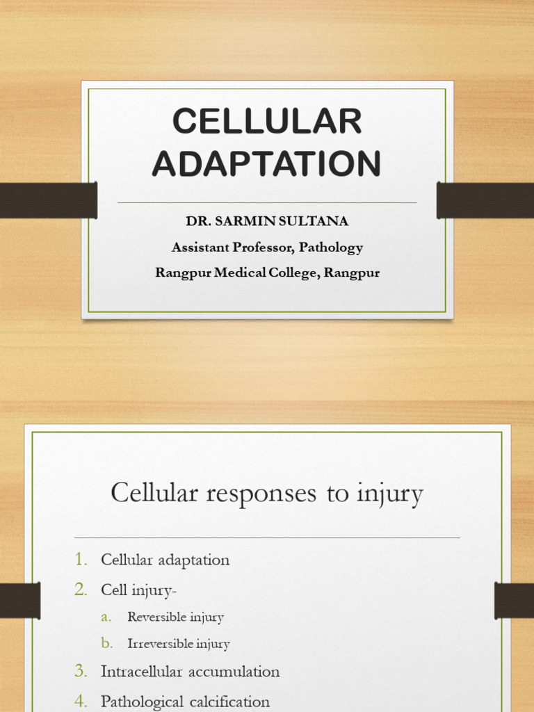 Cellular Adaptation and Injury Mechanisms | PDF | Epithelium | Autophagy