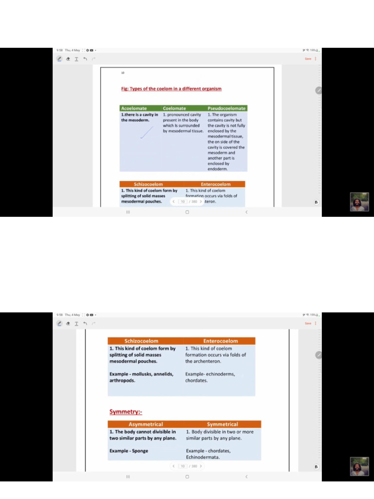 Animal Diversity | PDF