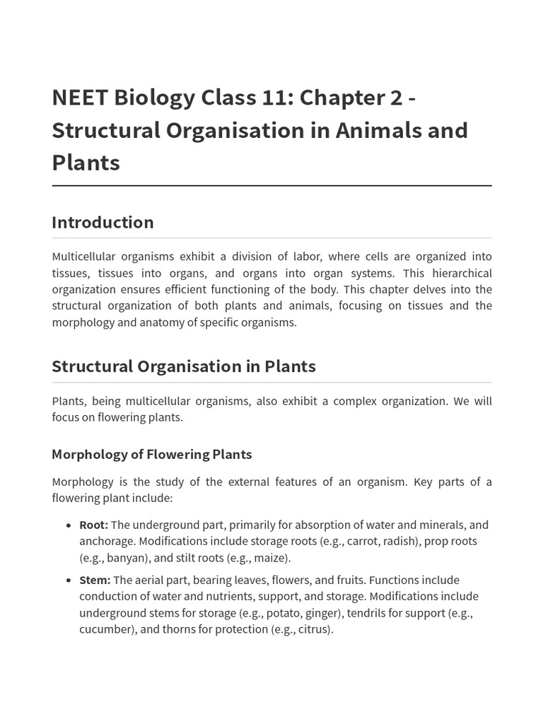 NEET Biology Class 11 Chapter 2 Structural Organisation in Animals and ...