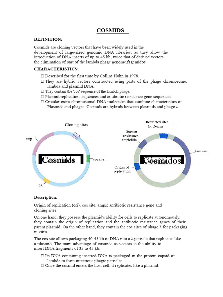 COSMIDS | PDF | Plasmid | Vector (Molecular Biology)