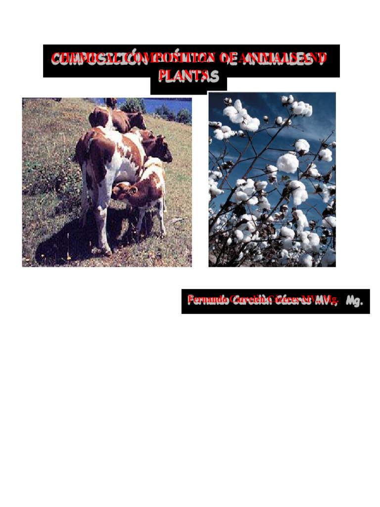 Chemical Composition - Animals and Plants | PDF | Foods | Chemical ...
