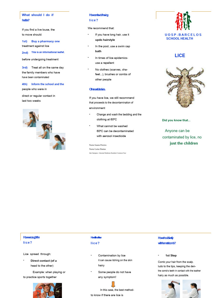 Lice Brochure | PDF