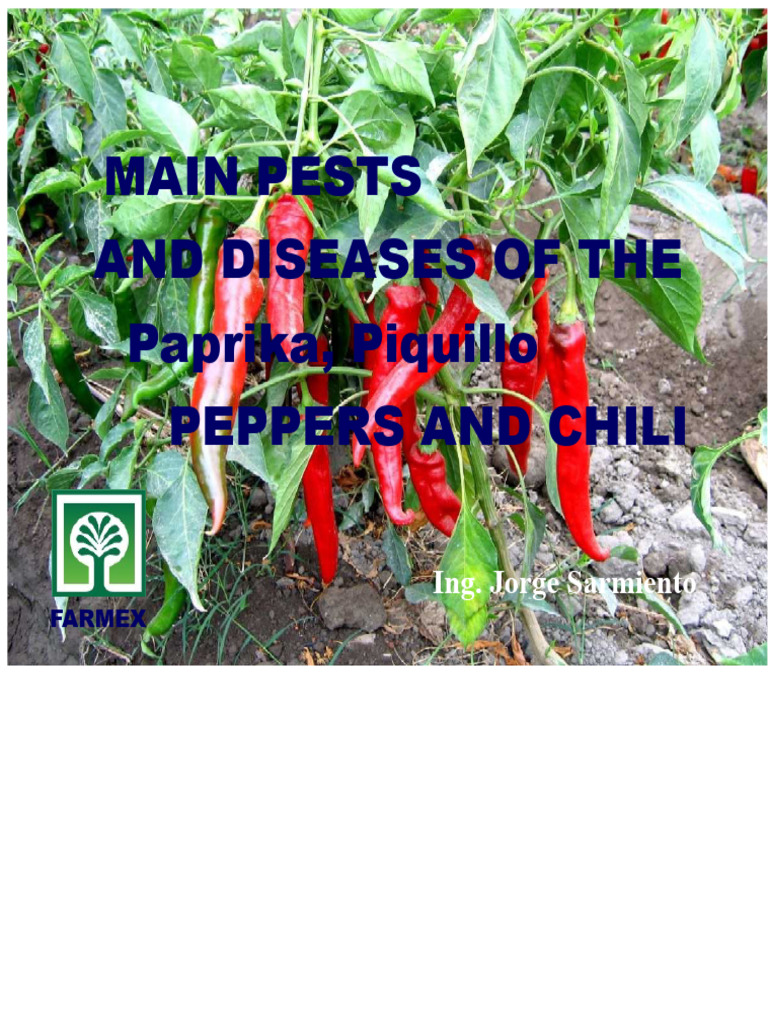 Main Pests and Diseases of Piquillo Peppers and Chili Peppers | PDF ...