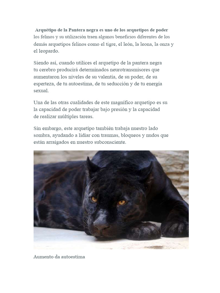 Arquetipo de La PANTERA NEGRA Animal de PODER | PDF | Leopardo | Autoestima
