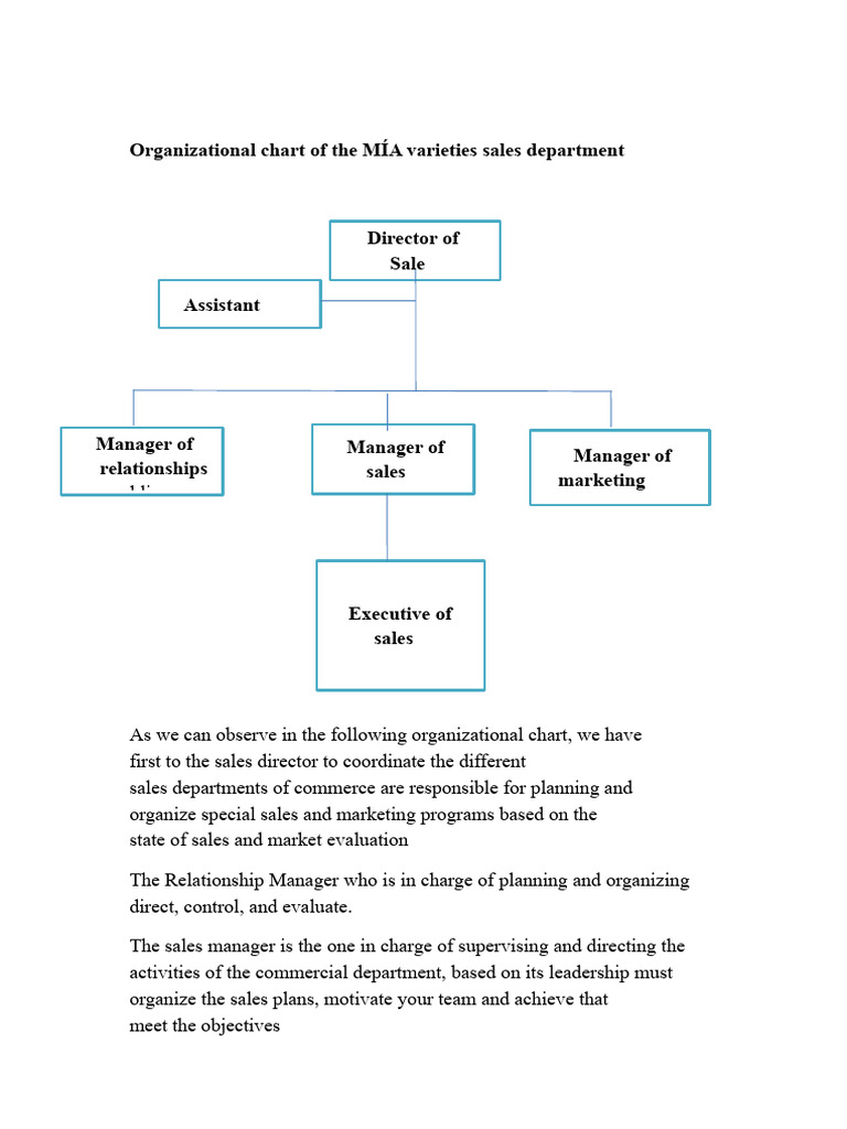 Structure of The Sales Department of The Company | PDF | Sales | Economies