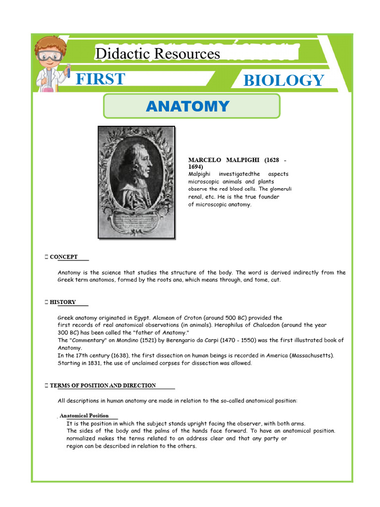 What Does Anatomy Study For First Year of Secondary School? | PDF ...