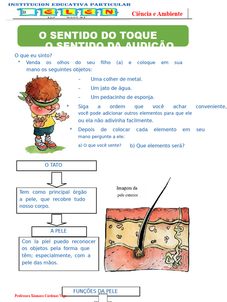 O-Sentido-do-Tato-Primário | PDF | Pele