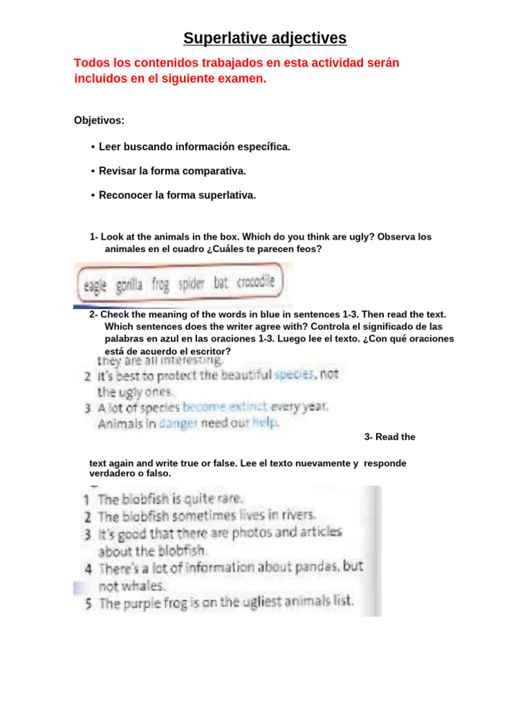 8 Superlative Adjectives | PDF