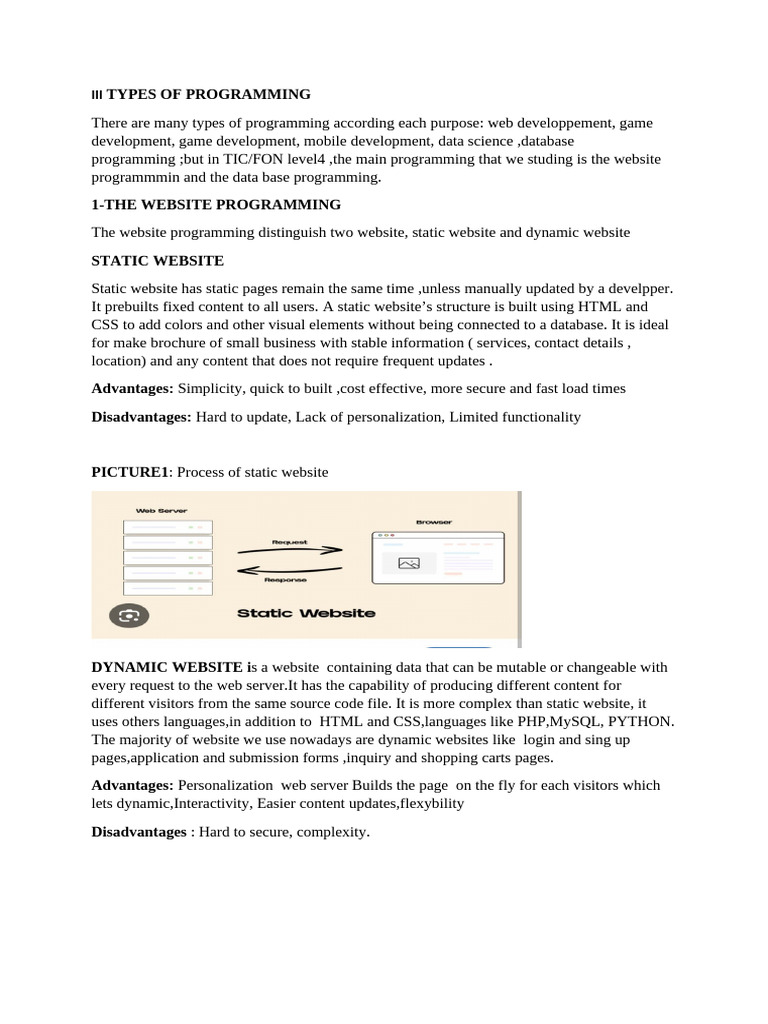 Static vs Dynamic Website Programming | PDF | Websites | Dynamic Web Page
