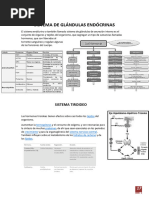 Hipertensión: Dipper vs Non-Dipper | PDF | Hipertensión ...