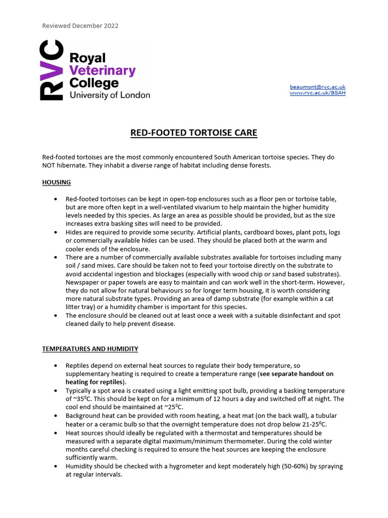 Red Foot Tortoise Care and Advice Dec 2022 Jh | PDF | Ultraviolet ...