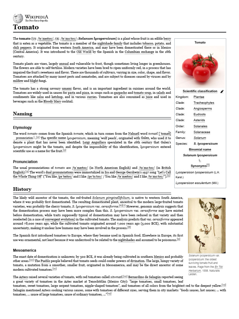 Tomato - Wikipedia | PDF | Tomato | Plants
