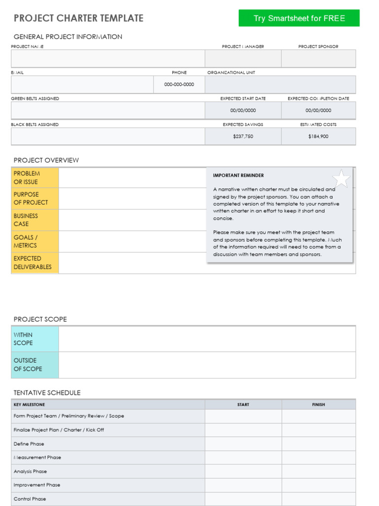 Project Charter Template Guide | PDF | Reliability Engineering | Business