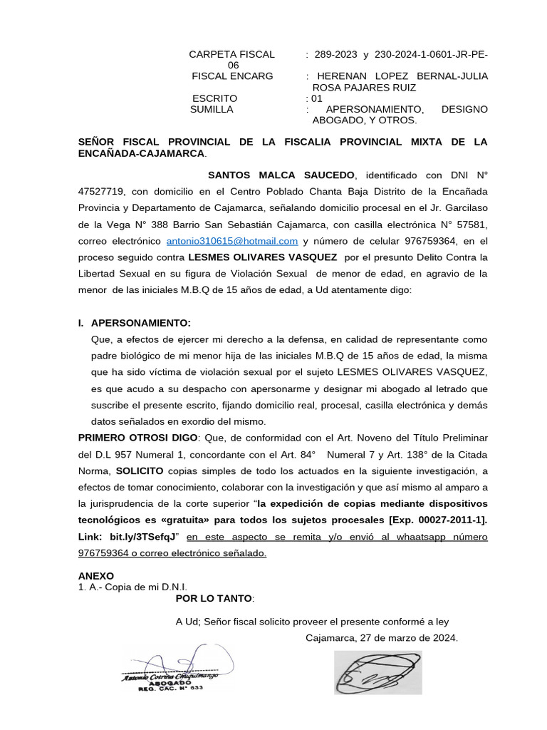 Apersonamiento Santos Malca Saucedo | PDF | Ley común | Justicia